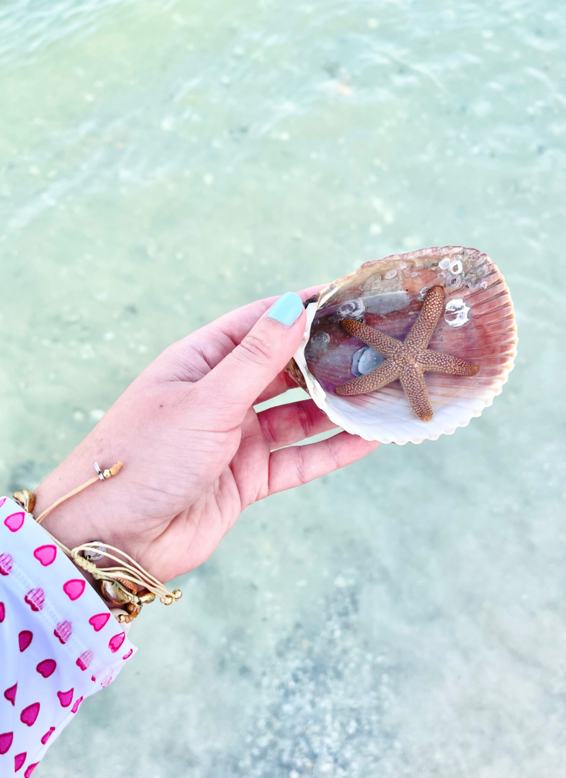Best Beaches in Florida with Seashells (Best Shelling Spots from the ...