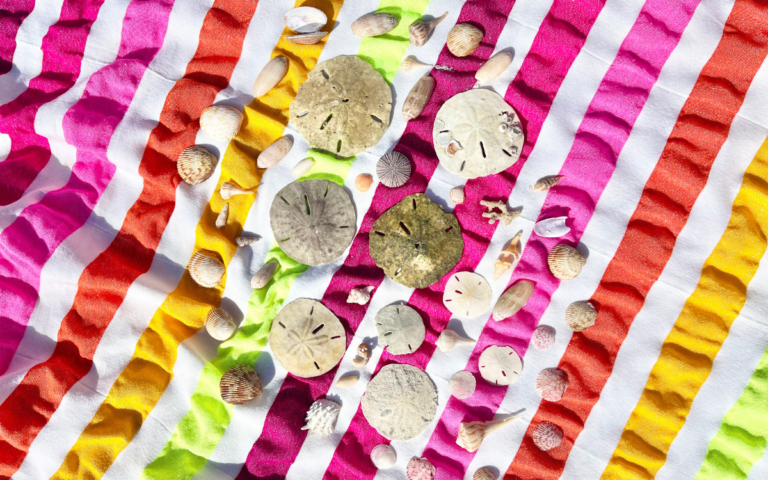 Sanibel vs Marco Island: Which is the Best Vacation Spot on Florida's ...