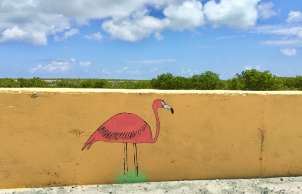 Anegada: Everything You Need to Know about the British Virgin Island's ...