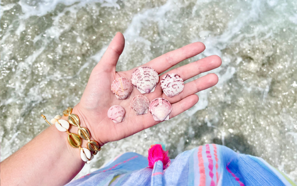 Longboat Key, Anna Maria Island & Sarasota: My Favorite Part of Florida ...