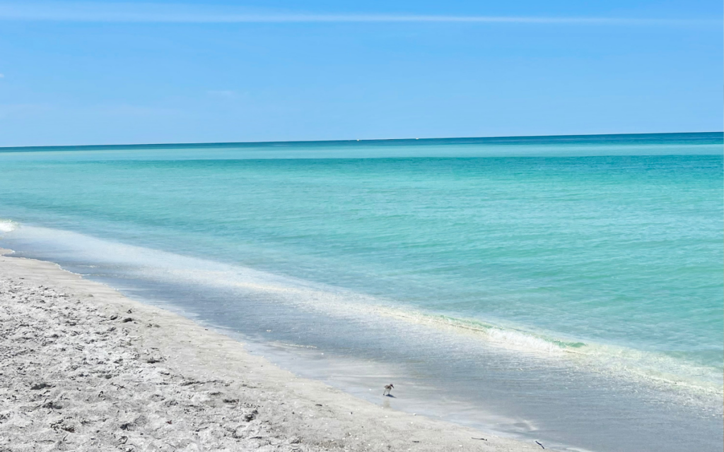 Longboat Key, Anna Maria Island & Sarasota: My Favorite Part of Florida ...