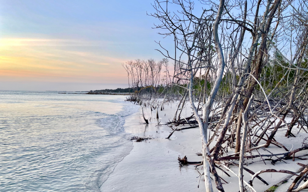Longboat Key, Anna Maria Island & Sarasota: My Favorite Part of Florida ...
