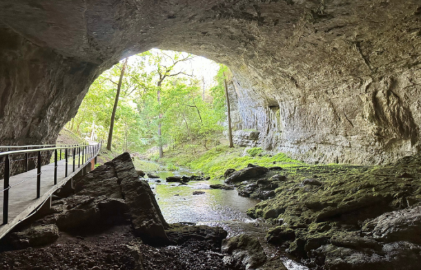 A Cave for Every Occasion: The Best Caves in Springfield & Branson, MO ...
