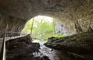A Cave for Every Occasion: The Best Caves in Springfield & Branson, MO ...