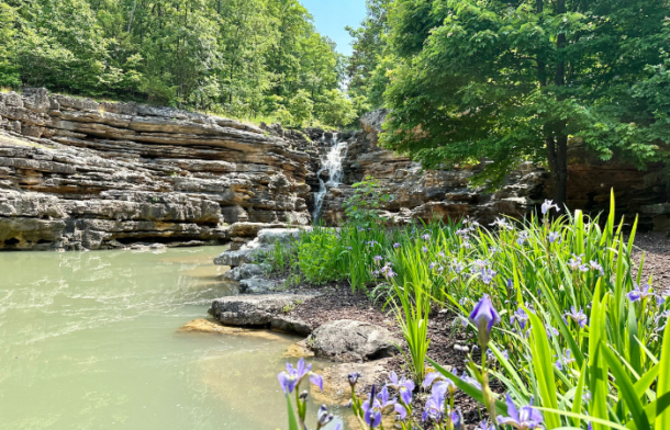 A Cave for Every Occasion: The Best Caves in Springfield & Branson, MO ...