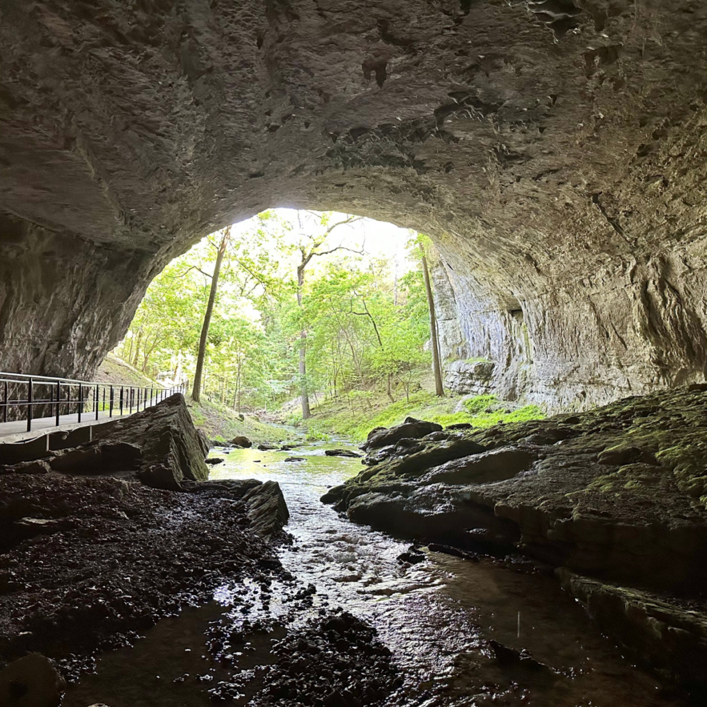 A Cave for Every Occasion: The Best Caves in Springfield & Branson, MO ...