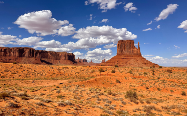 Road Trip to Monument Valley: Where to Stay, the Best Tour + Sunrise ...