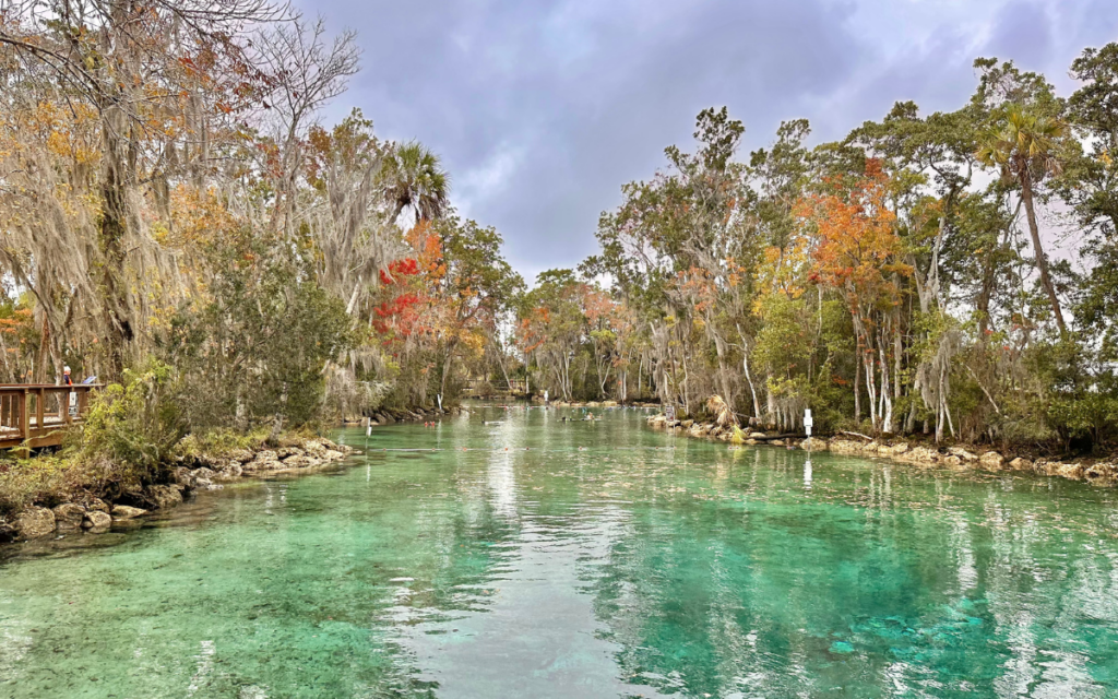 Manatees & Mermaids: My Favorite Natural Springs in Florida - Mousin ...